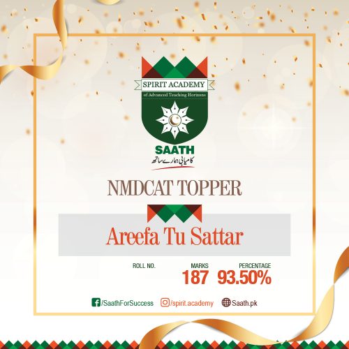 Spirit Academy – Spirit Academy of Advanced Teaching Horizon